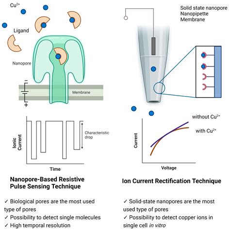 Recent Advances In Nanopore Technology For Copper Detection And Their