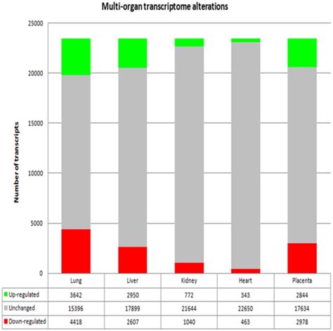 Mrna Transcripts That Are Increased In Intra Uterine Growth Restriction Download Scientific