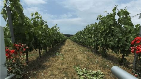 New Agricultural Multi Month Dataset With Overlapping Paths For Mapping And Localisation