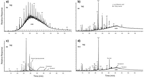 Examples Of GC MS Total Ion Current Traces Of Total Extracts Download Scientific Diagram