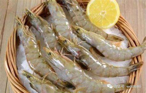 虾浑身是宝，虾头也不要浪费，试试这种做法，味道鲜美超好吃 知乎