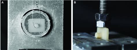 Monotonic Test And Fatigue Test Device Download Scientific Diagram