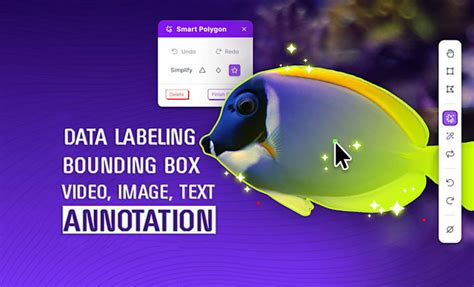 Do Image Annotation Data Labeling Bounding Box Text To Train Ml Ai
