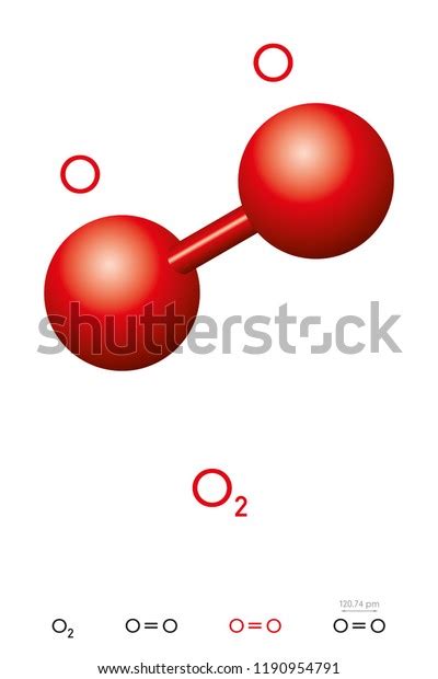 Oxygen O2 Molecule Model Chemical Formula Stock Vector Royalty Free 1190954791 Shutterstock