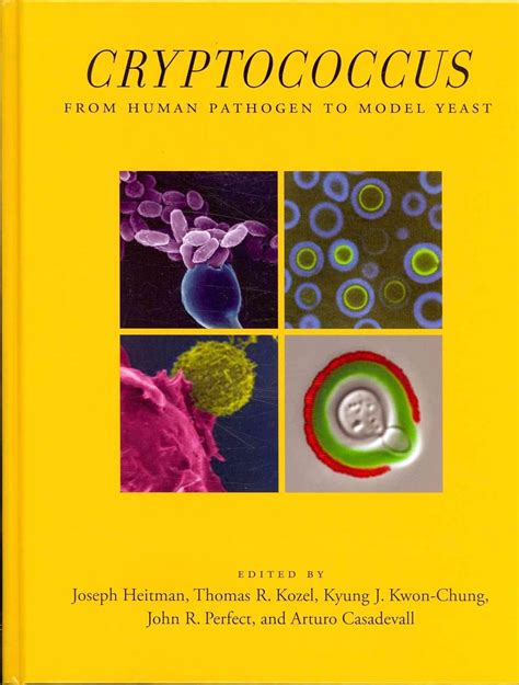 Cryptococcus From Human Pathogen To Model Yeast Medicine Health Science Books