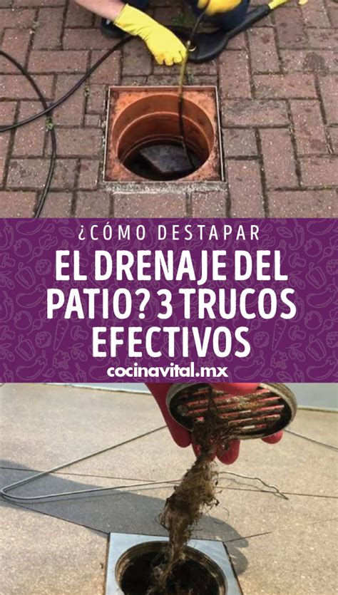 ¿cómo Destapar El Drenaje Del Patio 3 Trucos Efectivos Como Destapar