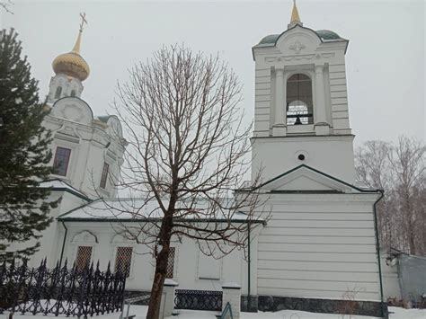 Брянск (Брянск, город). Церковь Троицы Живоначальной в Бежичах ...