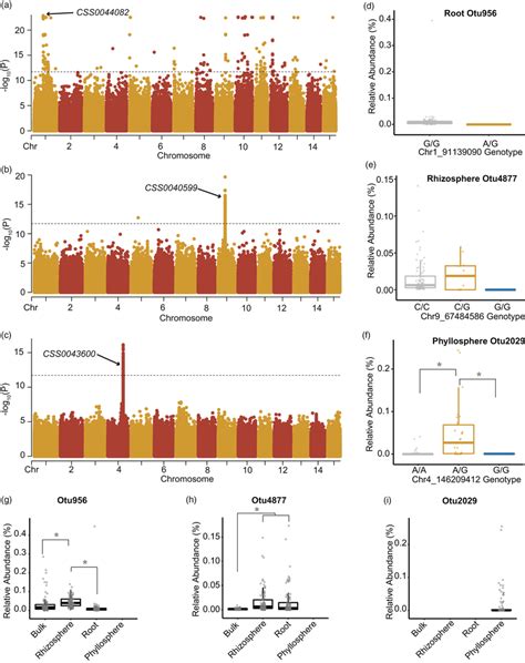 Genome‐wide Associations Between Tea Camellia Sinensis Genetic Download Scientific Diagram