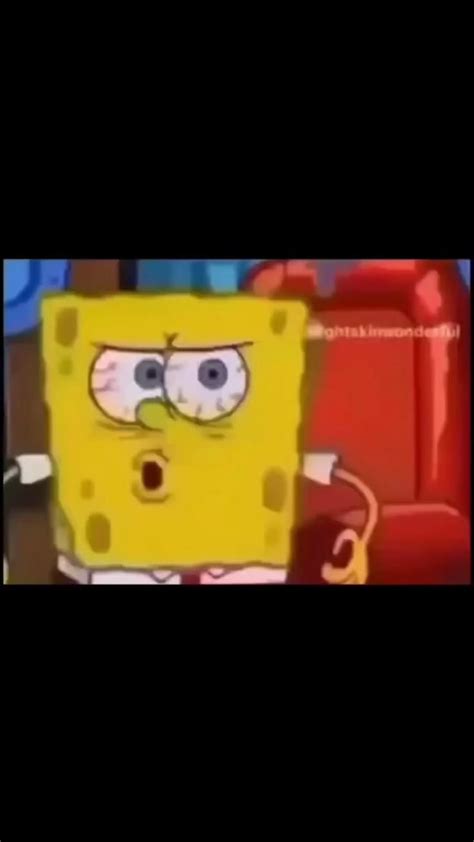 Everyone Ahhhhh Aaughhhhh Spongebob Funny Spongebob Funny Pictures