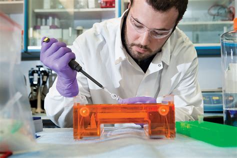 Cell Line Validation In Biomanufacturing