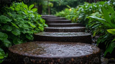 Round Stepping Stones Leading Up Garden Path In Rain 55282227 Stock