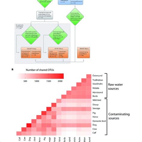 A Overview Of How The Three Microbial Source Tracking Mst Library
