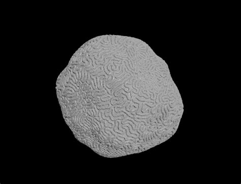 Differential Curve Growth Page 7 Effects Odforum