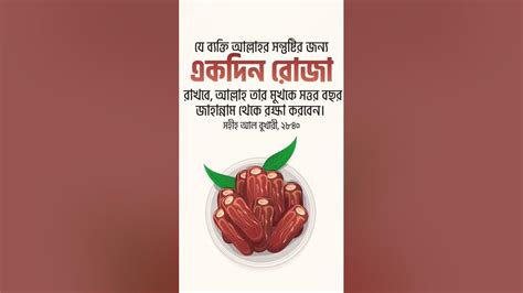 ইসলামীক মেসেজ Beautiful Islamicbackgroundvocals Edit Love Funny Foryou Tiktok Youtube