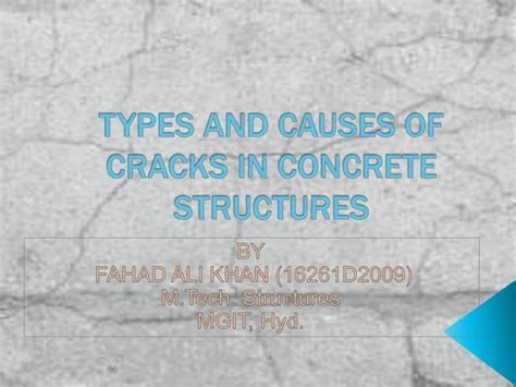 formats for struct audit report pdf