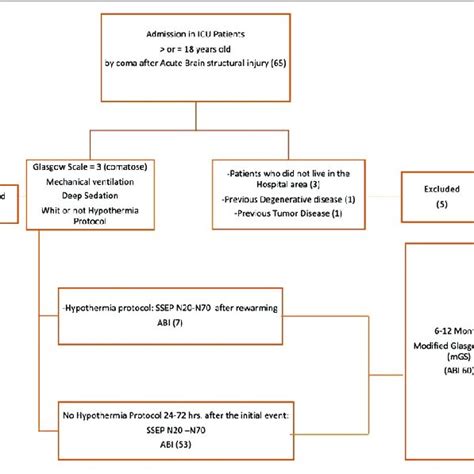 Diagnostic Accuracy Of Somatosensory Evoked Potentials Ssep N20 And Download Scientific