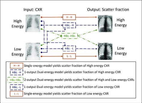 Scheme Of Input And Output Images Corresponding To The 3 Neural Network
