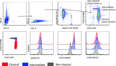 Gating Strategy Of Monocytes Monocytes Were Identified According To Download Scientific