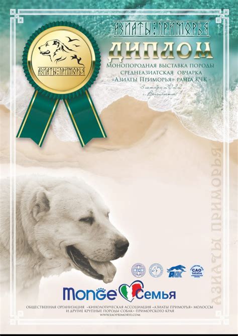 D5 F5 C9 Ee B434 40 Bd 98 Fd C8 Dcd1 Ede483 — Postimages