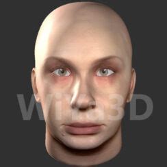 Difference Between Stl Vs Obj Vs Ply File Formats Wiya D