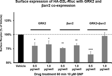 Figure 16 From Development Of A Receptor Internalization Assay For Measuring And Analysing Rgs9