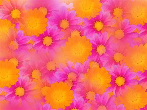 花のイラストフリー素材壁紙背景No 106一面の花紫オレンジ