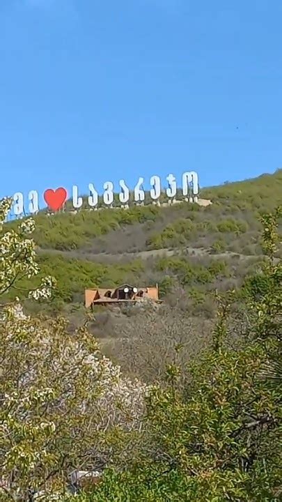 გაზაფხულის დილა სოფელში ️ კახეთი საგარეჯო გაზაფხული დილა მემიყვარსსაგარეჯო საქართველო 🇬🇪