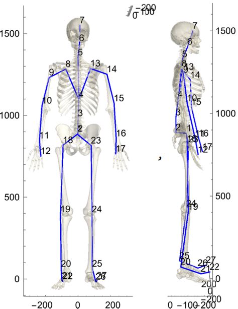 Graphics Can We Make Human Skeleton Walk Attaching A Natural Human