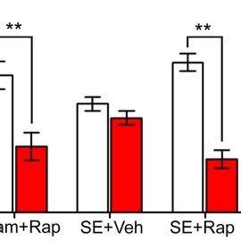 The Novel Object Recognition Test Was Used To Assess Recognition Memory Download Scientific