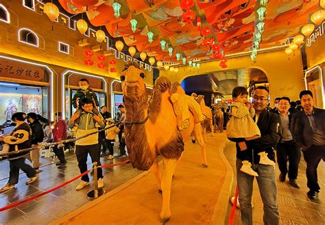 兰州黄河食渡文化夜市吸引大量游客前来打卡 综合看点 法治甘肃网 甘肃法治建设门户网站