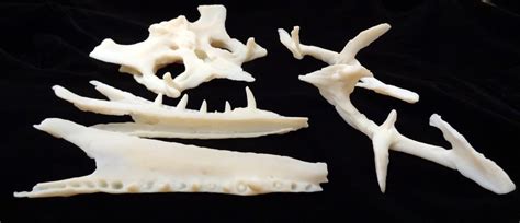 Partsnap 3d Printing Gallery