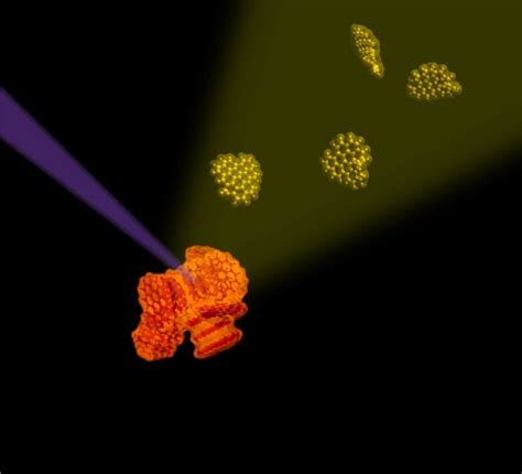 The Molecular Composition Of Soot Houston Miller