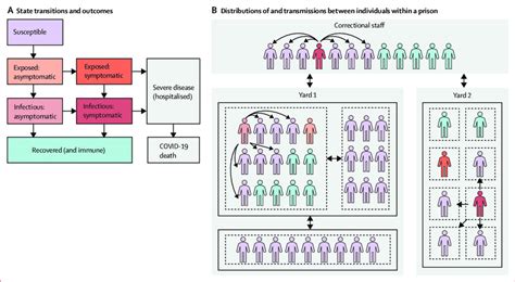 Prison Microsimulation Model Diagram A Possible State Transitions And