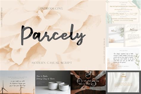 Handwritten Script Font Bundle Cricut Font Silhouette Font Canva Font Boho Chic Font