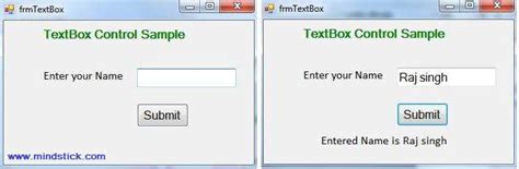 TextBox Control In C Net MindStick