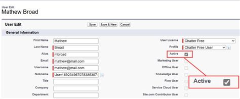 How To Deactivate Salesforce User