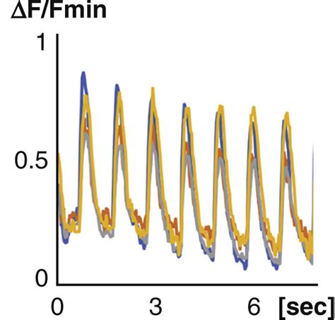 Able Biott Single Use Bioreactors Enhance The Development Of Disease Models And Cell Therapy