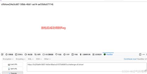 CTFshow WEB入门 爆破 关 ctfshow web入门 CSDN博客