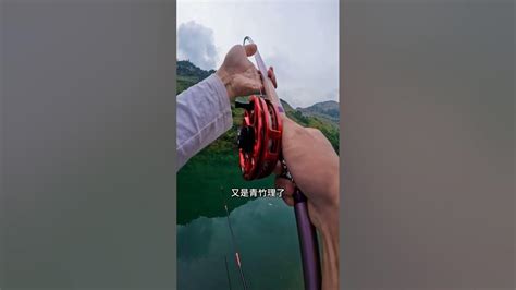 青竹鲤吃鱼生怎么样？一定要看到最后，不会让大家失望的！独乐乐不如众乐乐！原来钓鱼才是抖音运动顶流 2024dou来钓鱼 青竹鲤 中逵小师达