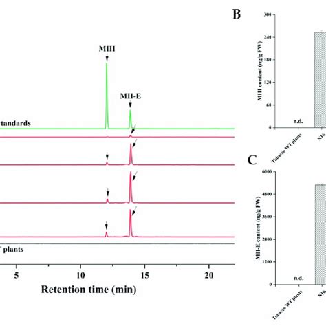 Strain Design Optimization Loop Using Reinforcement Learning Enzyme