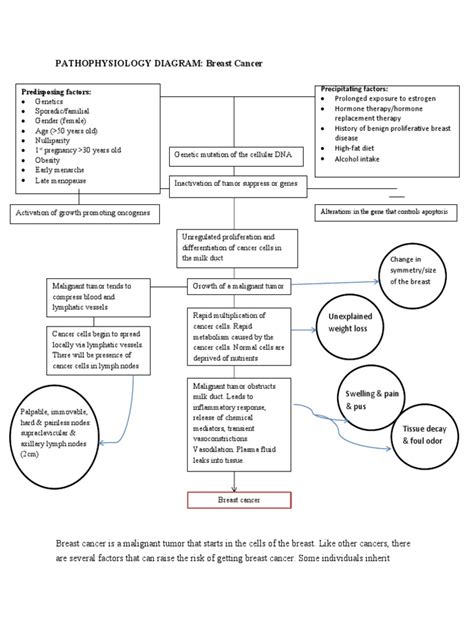 Pathophysiology Diagram Breast Cancer Predisposing Factors