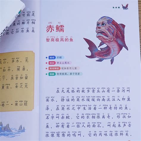 正版给孩子的山海经全套6册小学生版彩绘注音版儿童版鬼谷子绘本3 6岁孩子青少年孩子读的懂得山海经异兽录写给孩子的课外阅读书虎窝淘