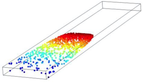 Nanoparticle Transport