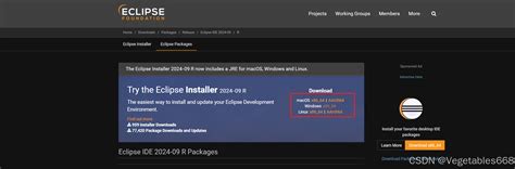 使用eclipse链接sap Abap开发环境sap Eclipse Csdn博客