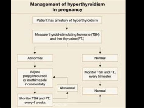 Hyperthyroidism During Pregnancy Pdf Thyroid Disorders Endocrine And Metabolic Diseases