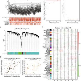An ICD Related Gene Signature Based Prediction Model A The Nomogram Download Scientific