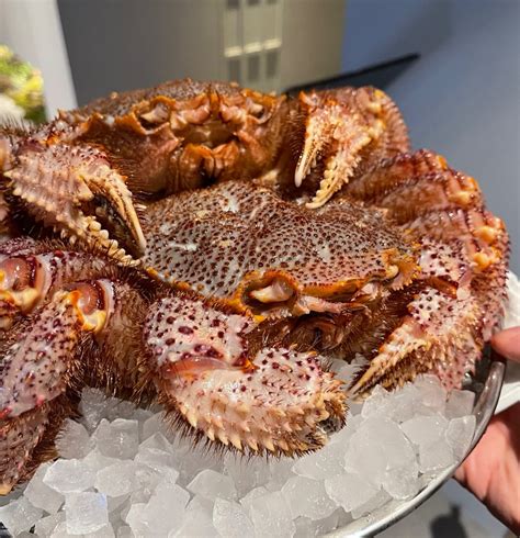 세상의 모든 게 크랩52 크랩52에서는 첫메뉴 로 대게 와 랍스터찜 을 테이블로 제공해드립니다 촉촉하고 부드러운 대게와 녹진하고 쫄깃한 랍스터찜은 버터소스에