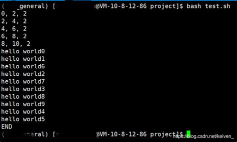 Python并行运行两种方式：1multiprocessing多进程库 2shell脚本运行 Csdn博客