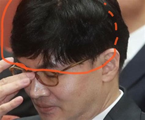 한동훈 가발대머리 진실 ~ 인스티즈instiz 이슈 카테고리
