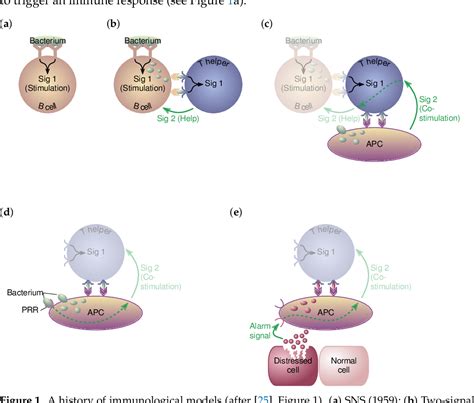 Figure 1 From A Review On Immune Inspired Node Fault Detection In